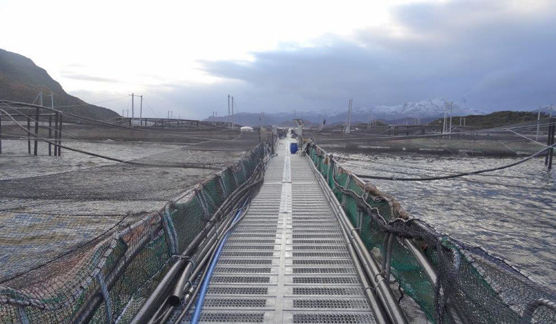 Marzo 13, 2020 – Superintendencia Del Medio Ambiente